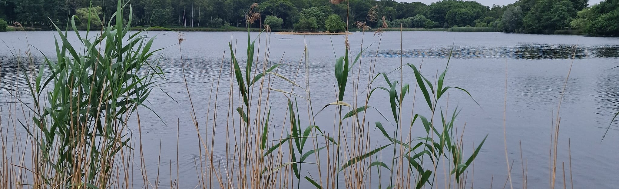 Capital Ring Walk Section 6: Wimbledon Park to Richmond Bridge - London ...