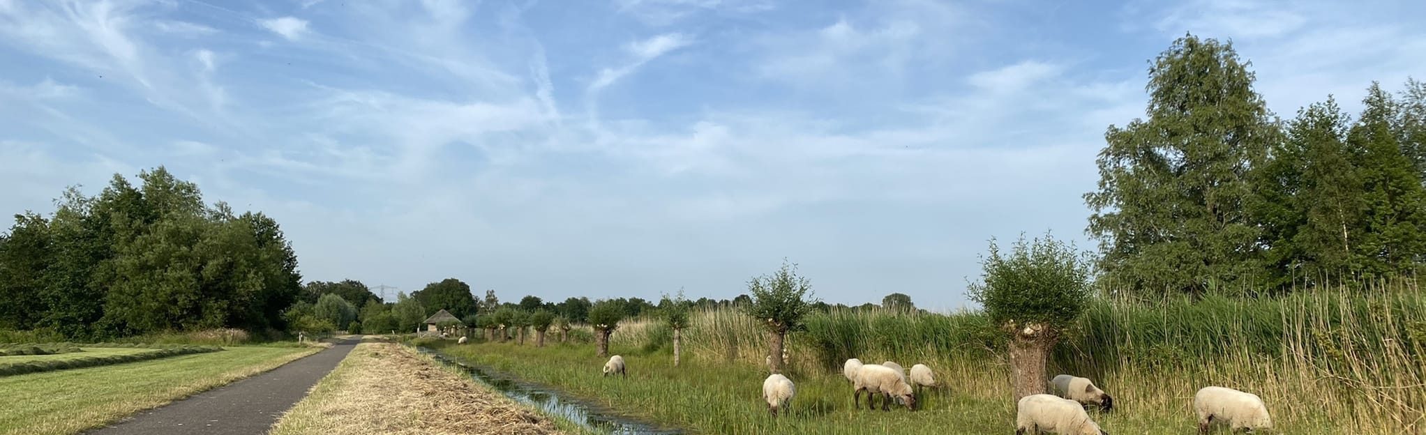 Lemelerveld/West-Dammarkte Blauwe Wandelroute, Overijssel, Netherlands ...