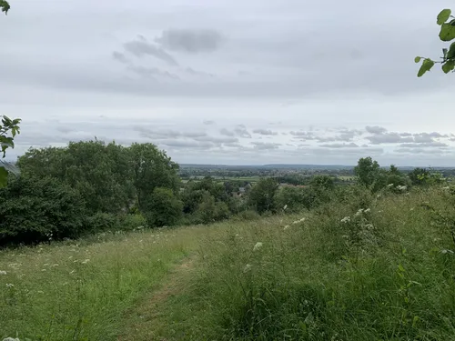 Best Walking Trails in Ham Hill Country Park | AllTrails