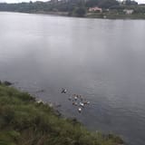 Freixo - Rio Tinto via Parque Oriental Bike Path, Porto District ...