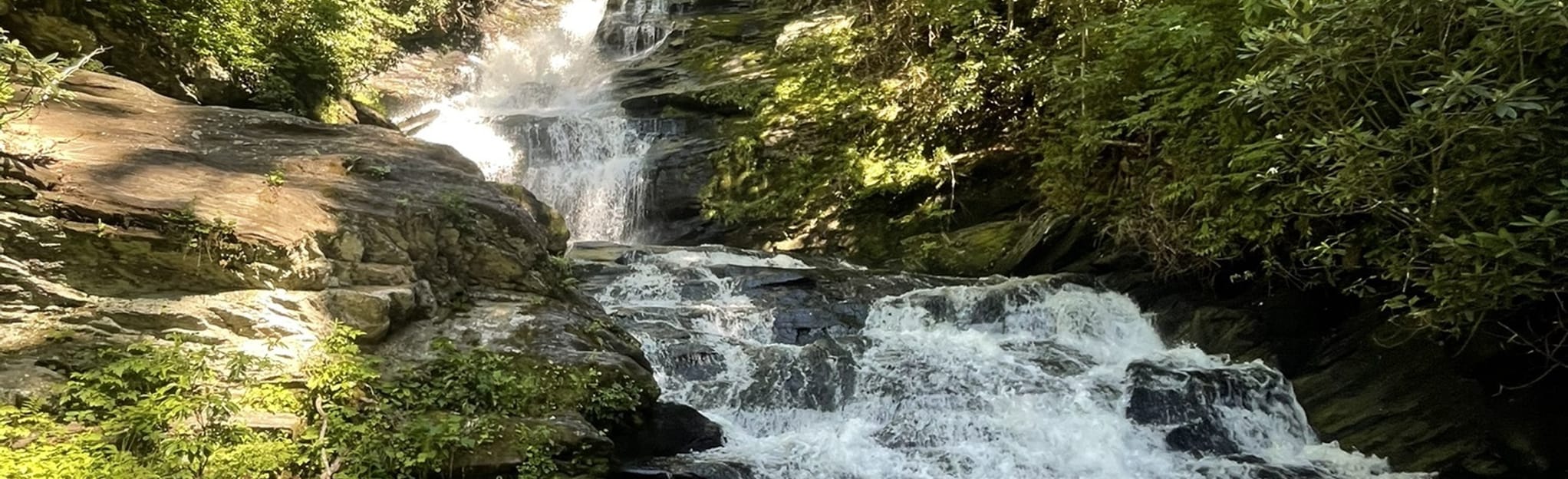 Mud Creek Falls, Georgia - 73 Reviews, Map | AllTrails