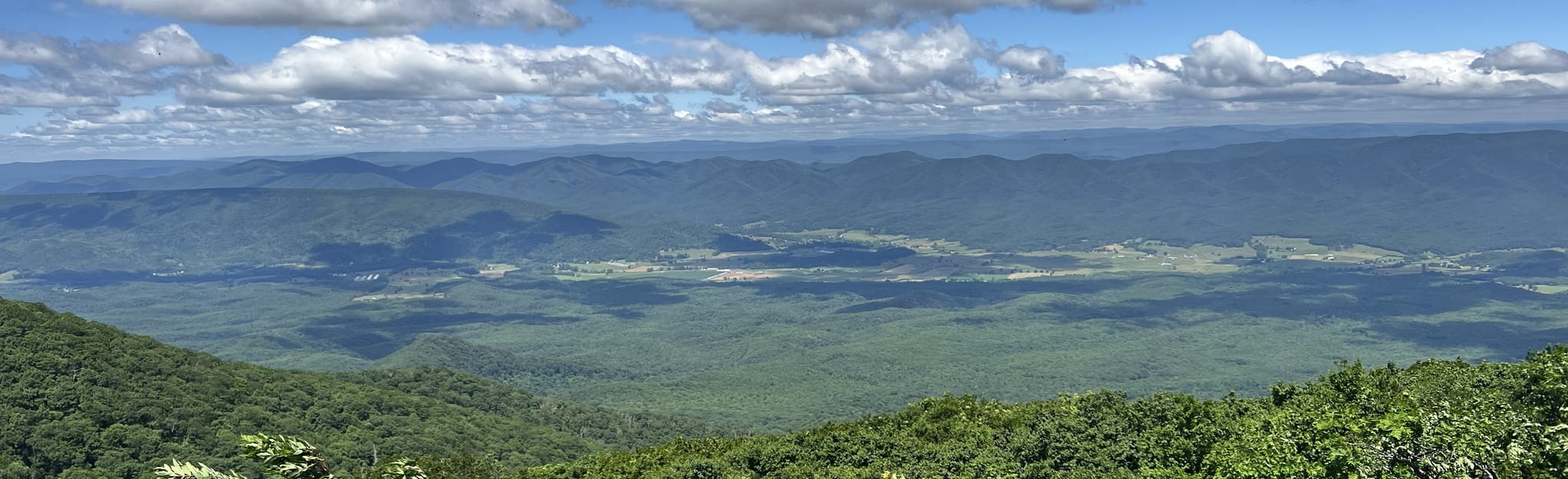 AllTrails | Elliott Knob Trail: 14 Reviews, Map - Virginia