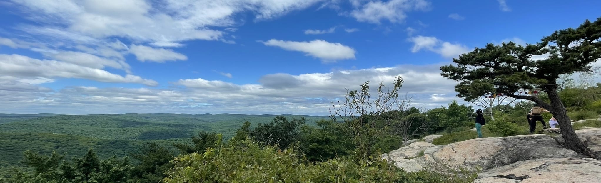 Perkins Memorial Tower via Appalachian Trail [FECHADO]: 5.416 fotos ...