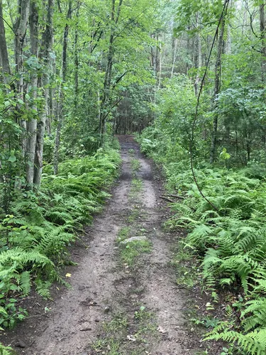 10 Best Trails and Hikes in Attleboro | AllTrails