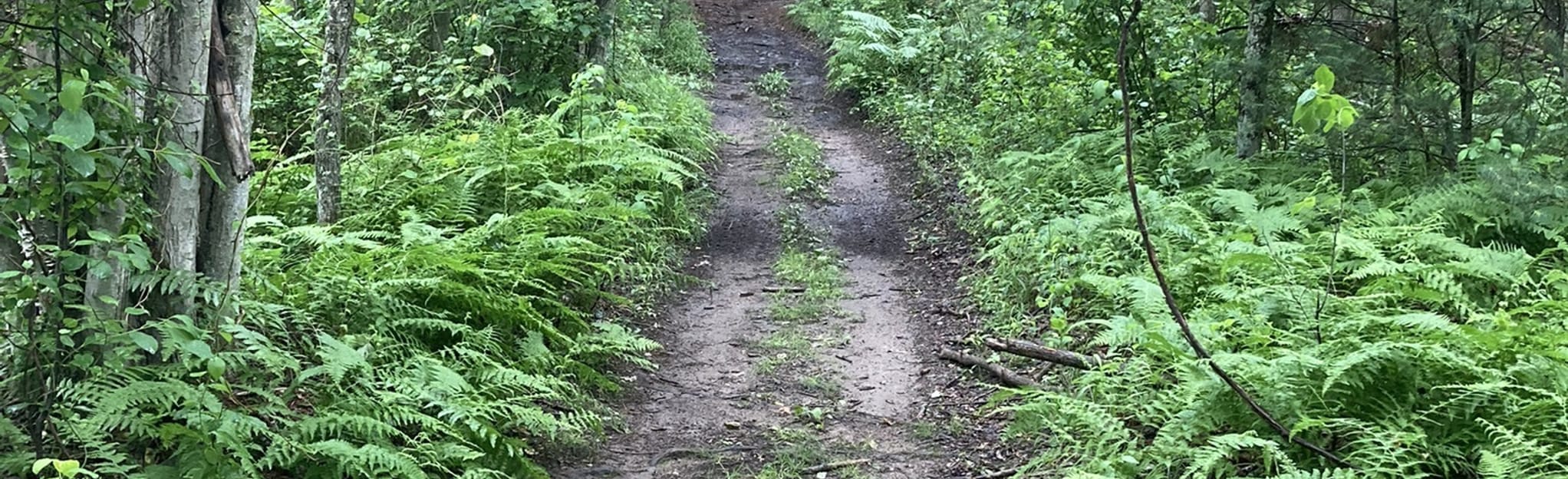 Oak Hill Mini Loop, Massachusetts - 47 Reviews, Map | AllTrails