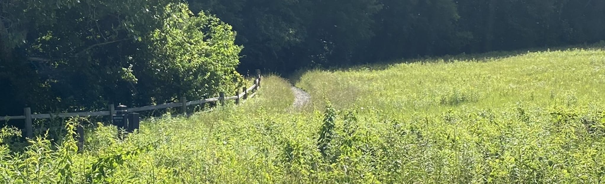 Boston Run Trail: 1335 Reviews, Map - Ohio | AllTrails