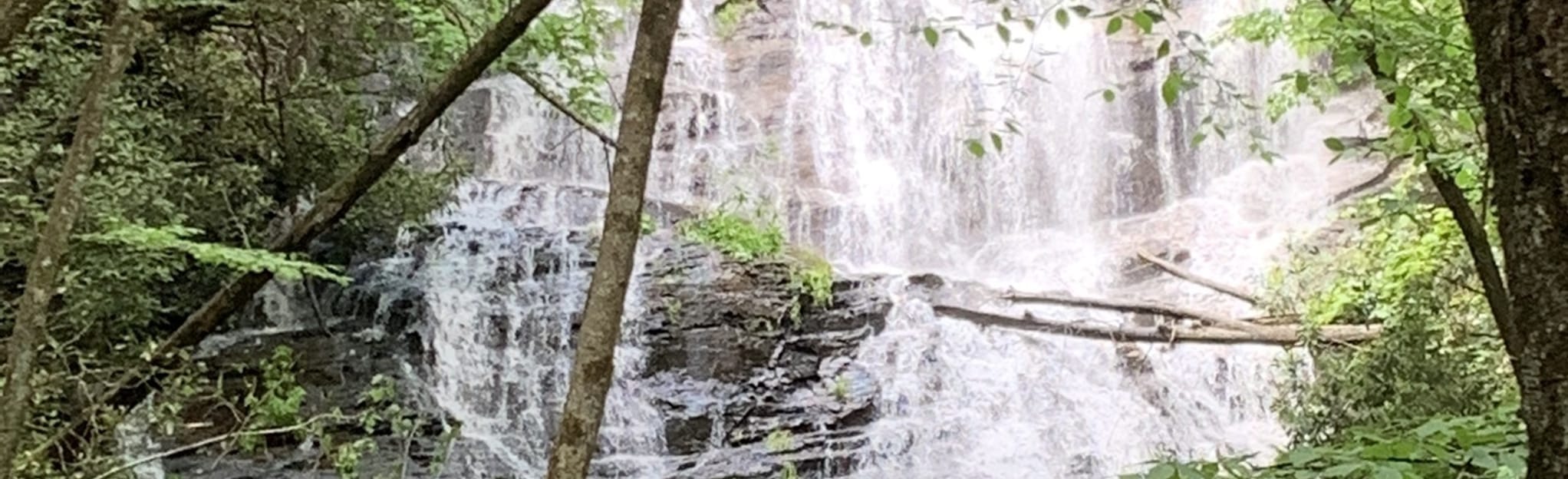 Upper Chattahoochee Campground to Horse Trough Falls - Georgia | AllTrails