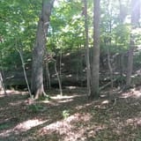 Deer Ridge Park 4K Loop, Missouri - 121 Reviews, Map | AllTrails
