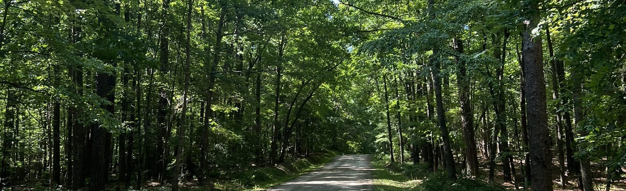 Reedy Creek and Rocky Road Loop : 117 Reviews, Map - North Carolina ...