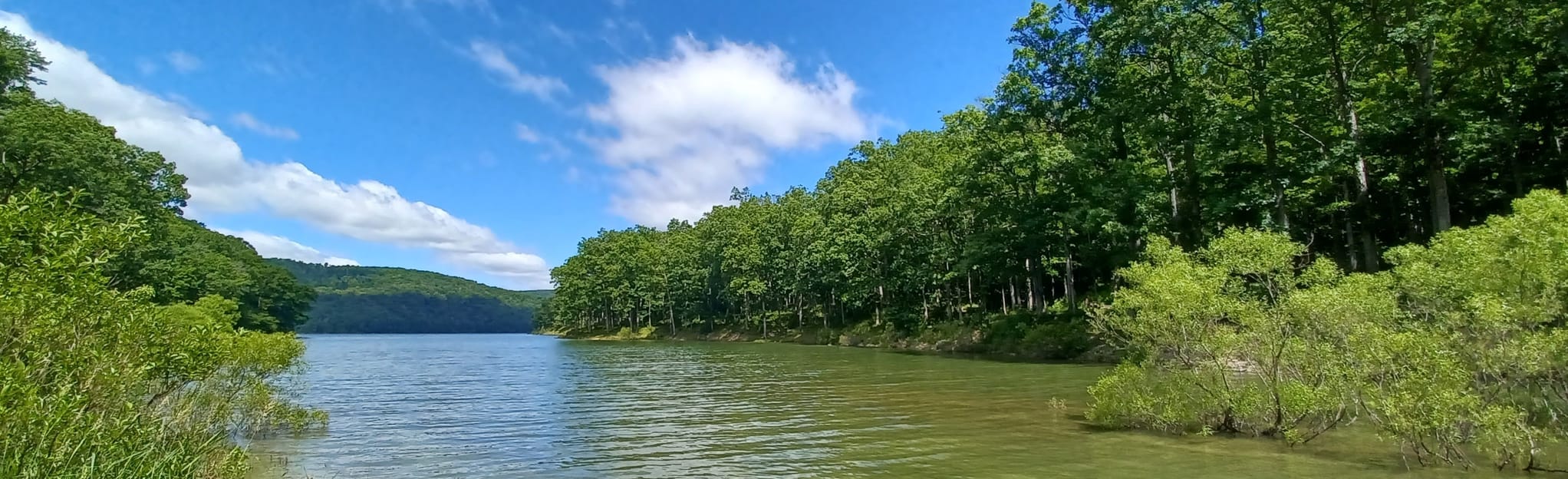 Tracy Ridge Hiking Trail System , Pennsylvania - 297 Reviews, Map ...