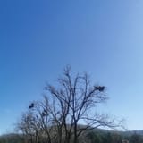 Rietvlei Zoo Farm, Gauteng, South Africa - 62 Reviews, Map | AllTrails