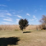 Rietvlei Zoo Farm, Gauteng, South Africa - 62 Reviews, Map | AllTrails