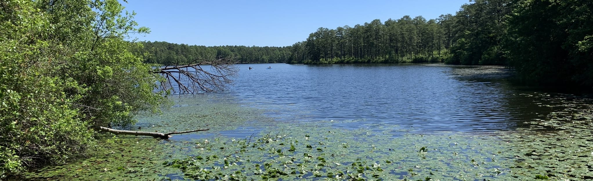 AllTrails | Reservoir Park: 482 Reviews, Map - North Carolina