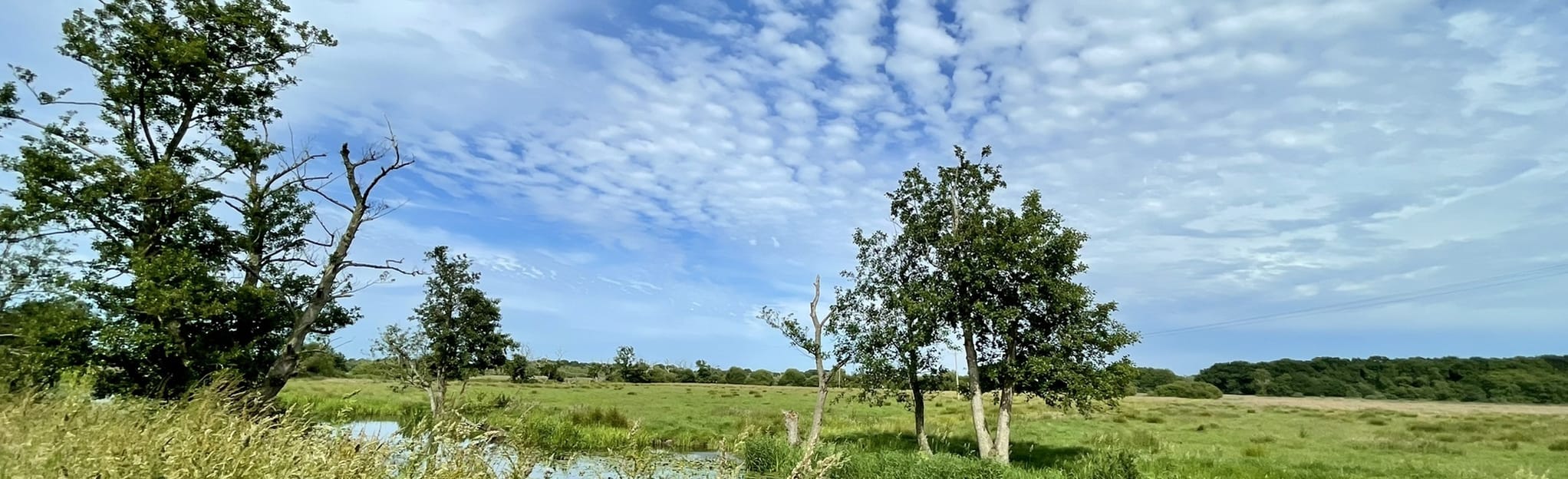 Dilham Canal Circular: 73 Reviews, Map - Norfolk, England | AllTrails