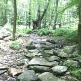 Mooween State Park Loop , Connecticut - 387 Reviews, Map | AllTrails