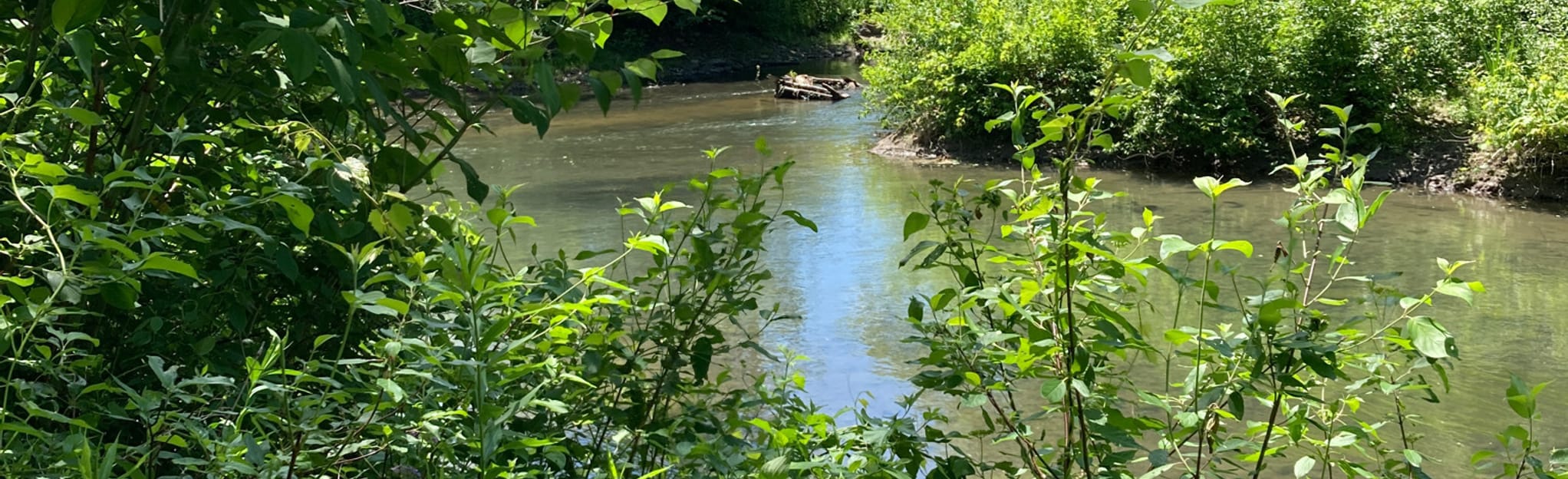 Compton Bridge Trail, New York - 12 Reviews, Map | AllTrails