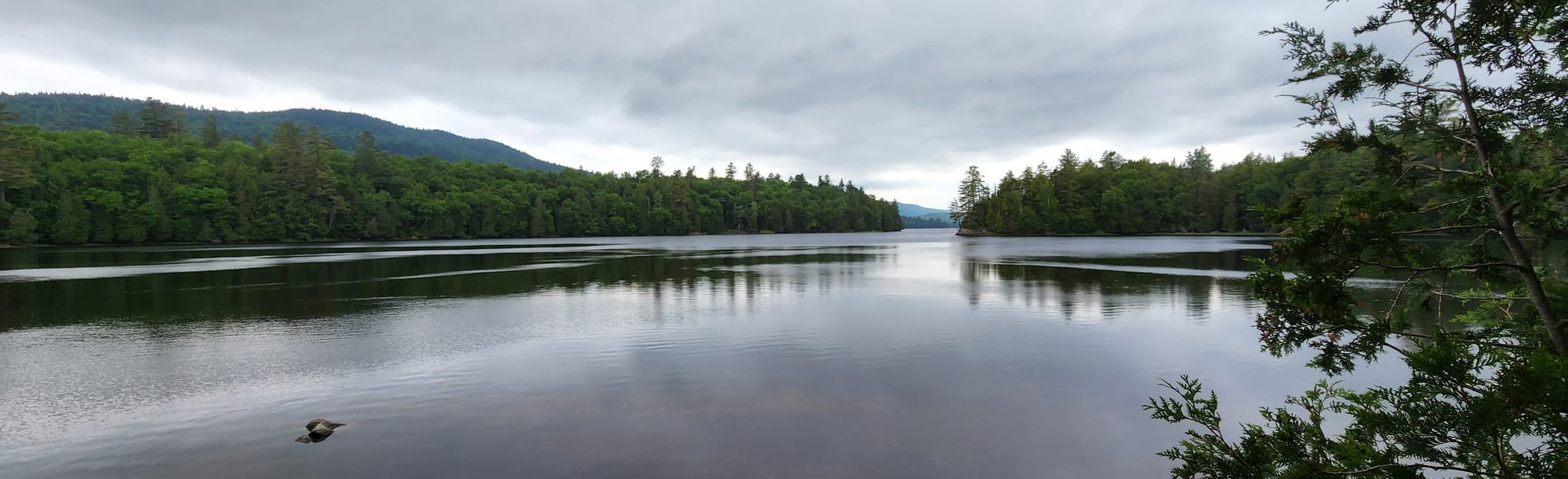 Rich Lake Trail: 22 Reviews, Map - New York | AllTrails