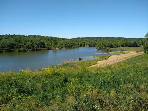 Best Moderate Trails in Kickapoo State Park | AllTrails