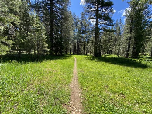 Best Hikes and Trails in Carnelian Bay | AllTrails