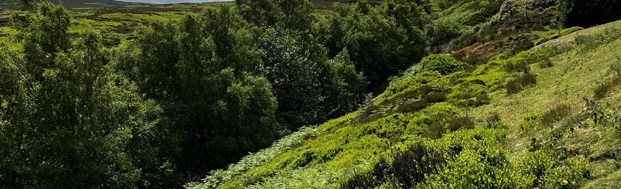 Midhope Moors and Langsett Reservoir Circular: 727 Fotos - South ...