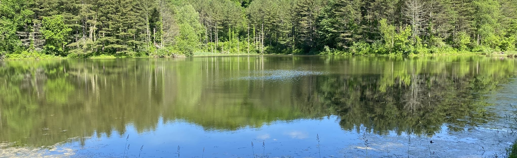 Lamping Homestead Trail, Ohio - 45 Reviews, Map | AllTrails