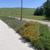 Mount Trashmore Overlook Trail, Iowa - 23 Reviews, Map | AllTrails