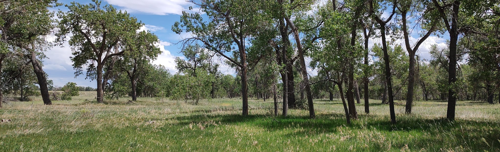 Star K Ranch Open Space Loop | Map, Guide - Colorado | AllTrails