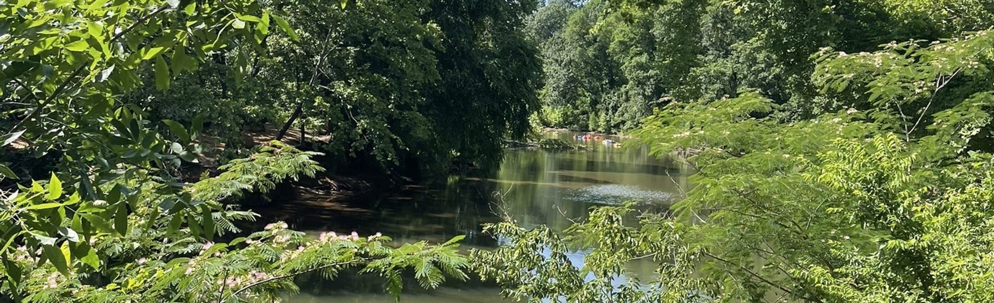 Old Mill Trail, Virginia - 355 Reviews, Map | AllTrails