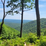 Allegheny Front Trail, Pennsylvania - 240 Reviews, Map | AllTrails