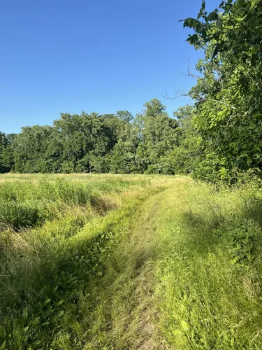 Best Hikes and Trails in Great Valley Nature Center | AllTrails