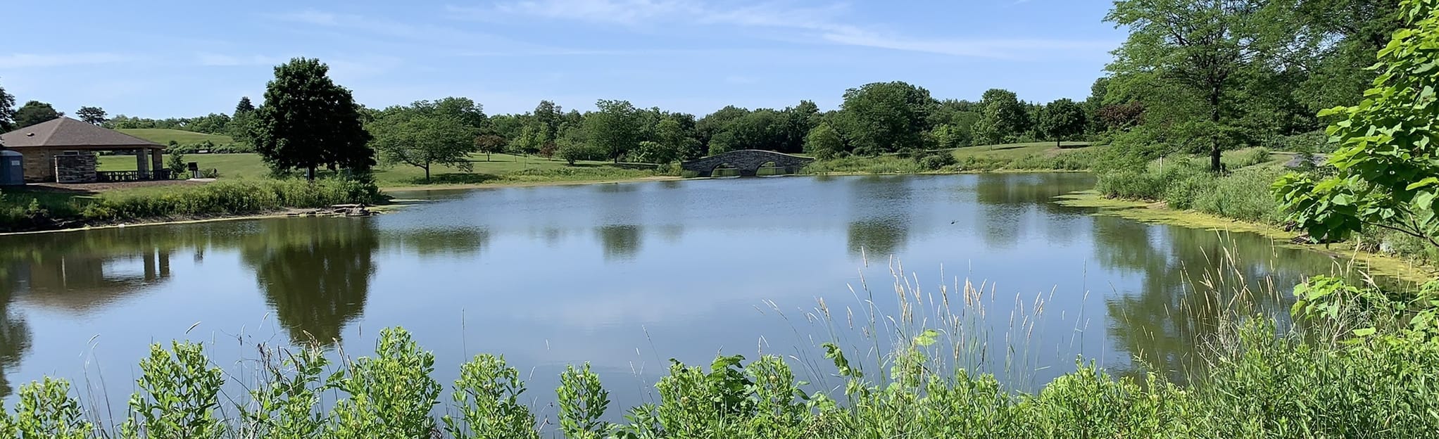 Community Park Loop: 63 Reviews, Map - Illinois | AllTrails