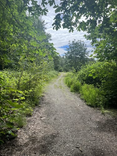 Best Hikes and Trails in Forbes Valley Wetlands | AllTrails