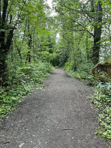 Best Hikes and Trails in Forbes Valley Wetlands | AllTrails