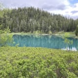 Whits Lakes Spring, Montana - 142 Reviews, Map | AllTrails