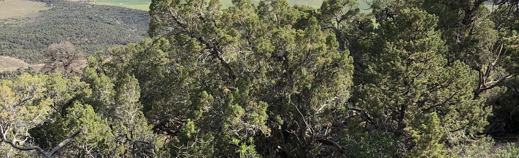 High Point Trail, Colorado - 45 Reviews, Map | AllTrails