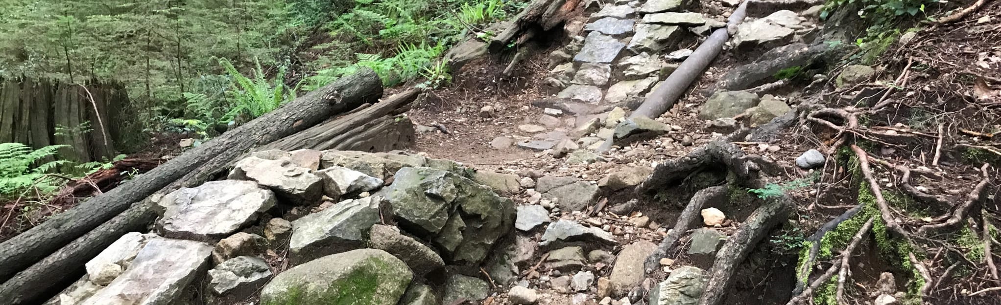 Seventh Secret and Pipeline MTB Trail Loop: 94 Reviews, Map - British ...