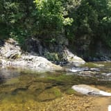 Conasauga River Trail, Georgia - 123 Reviews, Map | AllTrails