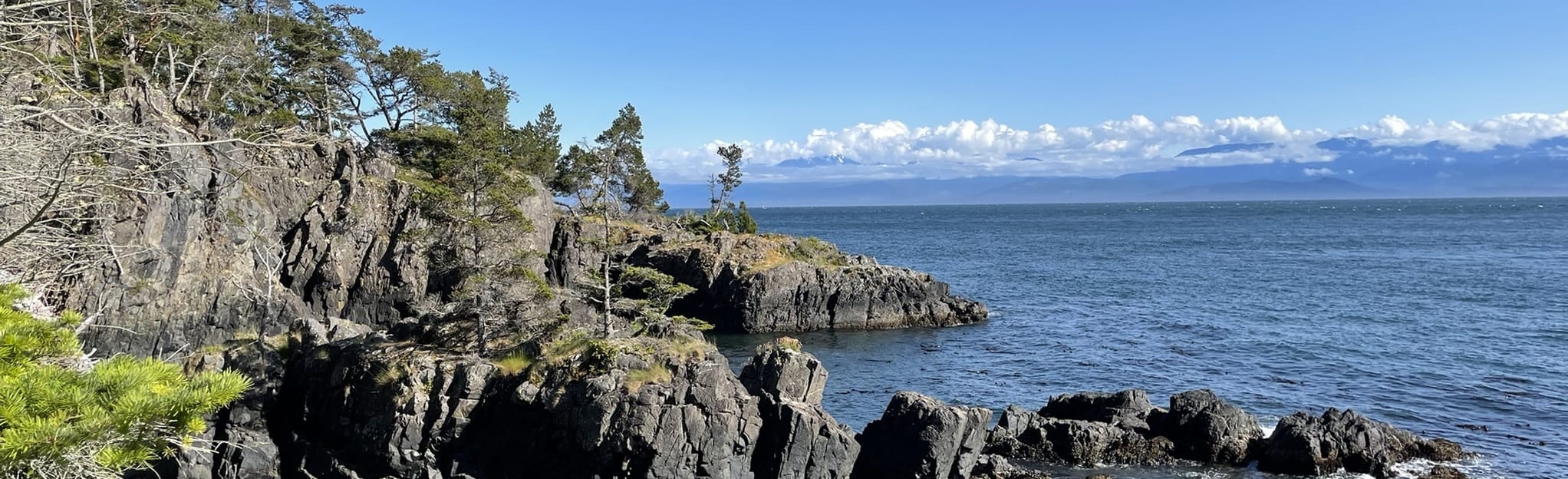 Coppermine Trail from Anderson Cove Trailhead: 16 Reviews, Map ...