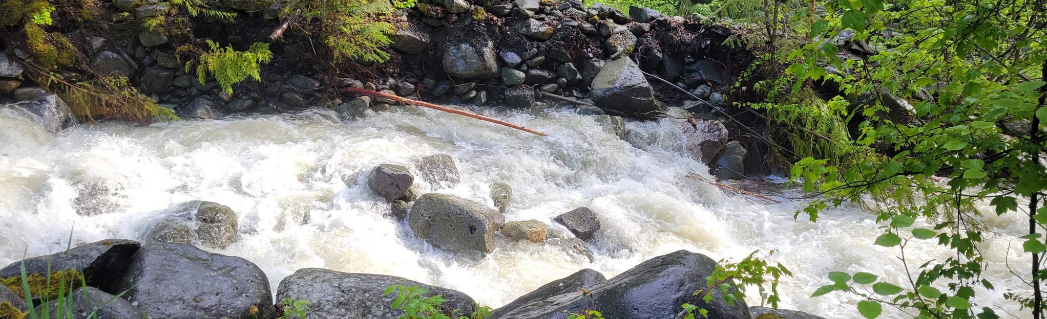 Whitecroft Falls: 123 Reviews, Map - British Columbia, Canada | AllTrails