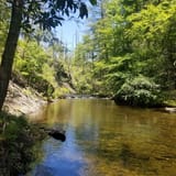 Conasauga River Trail, Georgia - 123 Reviews, Map | AllTrails