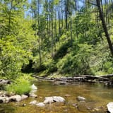 Conasauga River Trail, Georgia - 123 Reviews, Map | AllTrails
