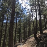 Eagle Ridge Trail, Nevada - 618 Reviews, Map | AllTrails