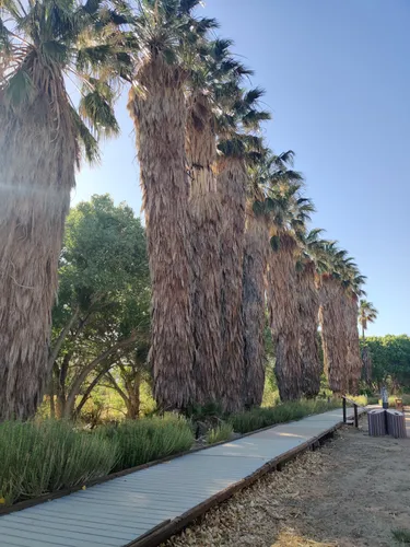 Best Hikes and Trails in Morongo Valley | AllTrails