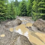 Tahuya Lookout OHV Loop , Washington - 122 Reviews, Map | AllTrails