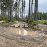 Tahuya Lookout OHV Loop , Washington - 122 Reviews, Map | AllTrails
