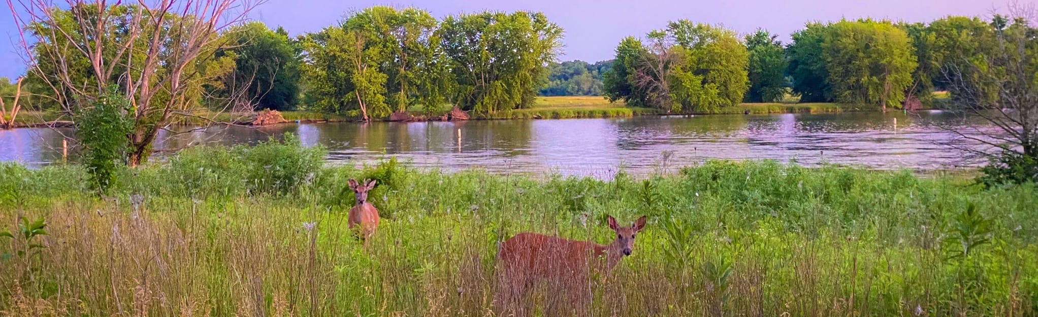 Fox River Preserve Loop Trail, Illinois - 367 Reviews, Map | AllTrails