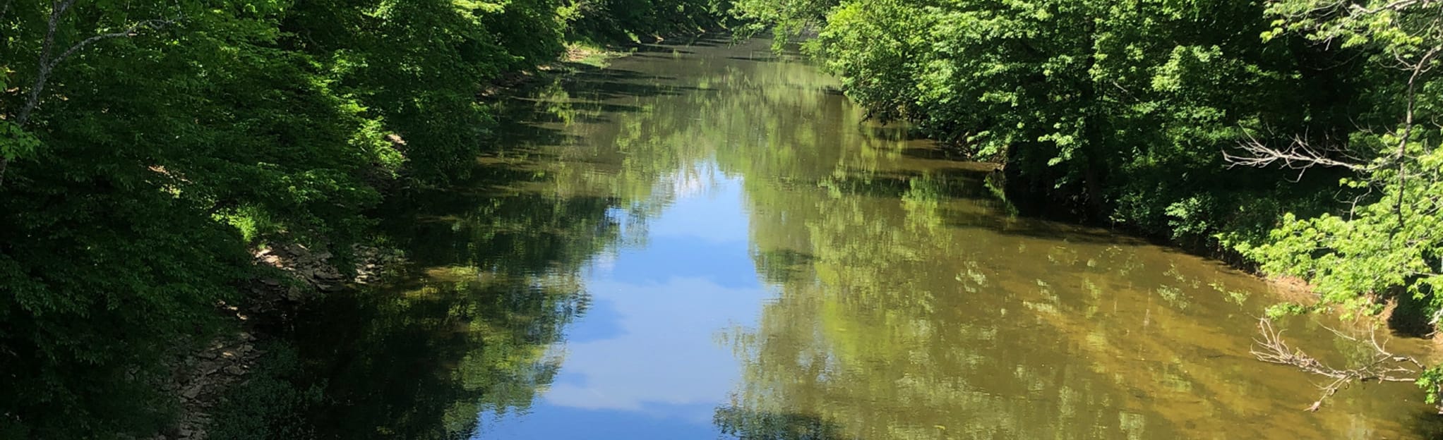 Louisville Loop: 250 Reviews, Map - Kentucky | AllTrails