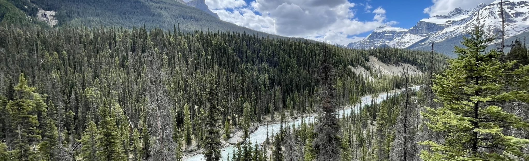 Mistaya Canyon: 349 Reviews, Map - Alberta, Canada | AllTrails
