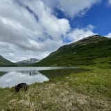 Johnson Pass, Alaska - 92 Reviews, Map | AllTrails