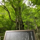 Lake Yamanaka - Mount Ohira - Mount Ishiwari Loop, Yamanashi, Japan - 6 Reviews, Map | AllTrails
